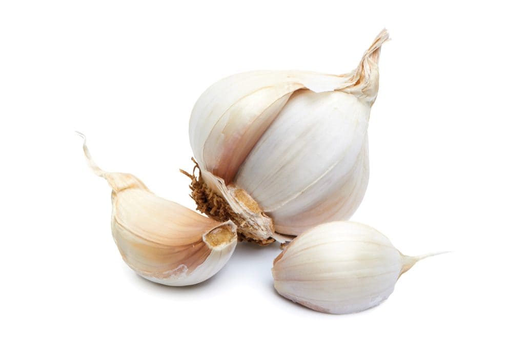 What To Know About Allium Vegetables - Alberta Cancer Foundation