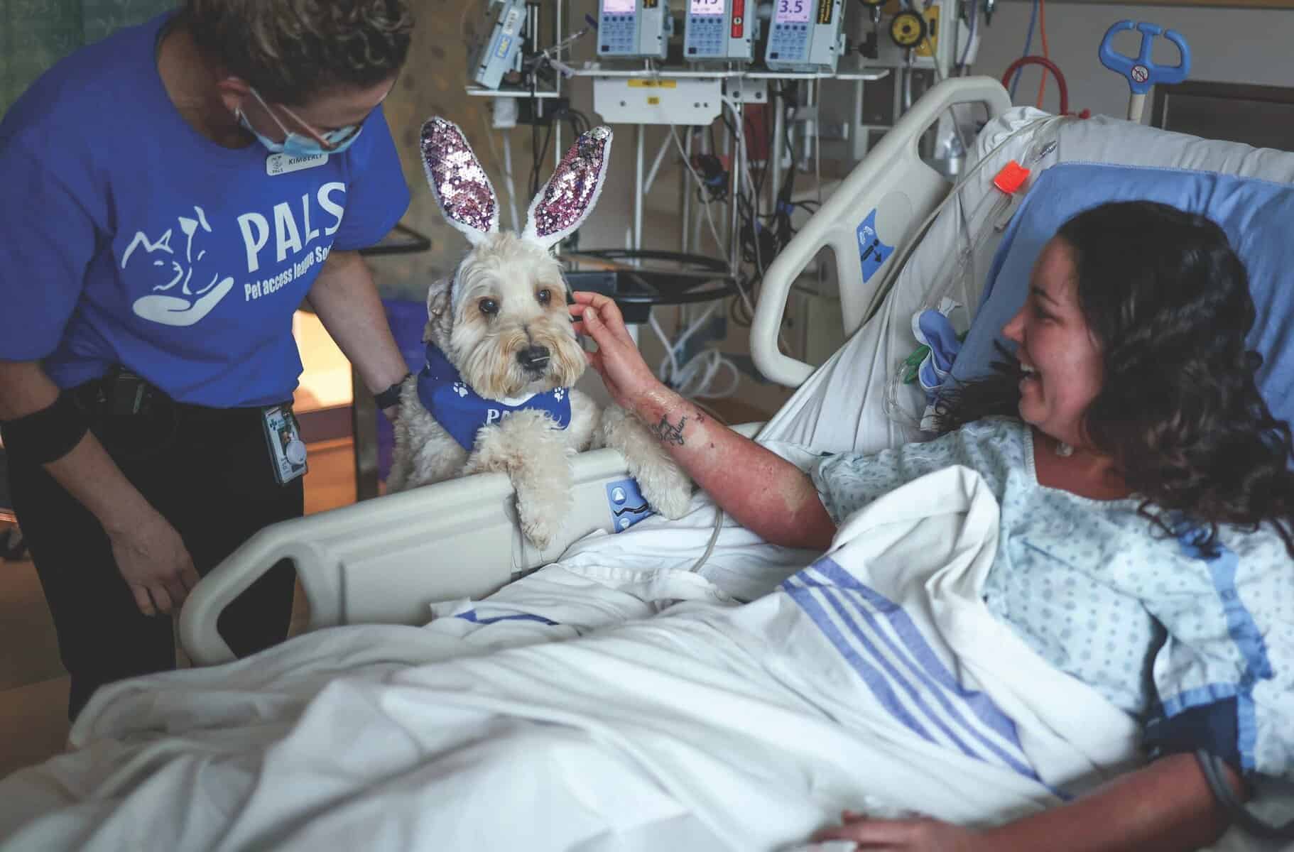 Furry Friends - Alberta Cancer Foundation