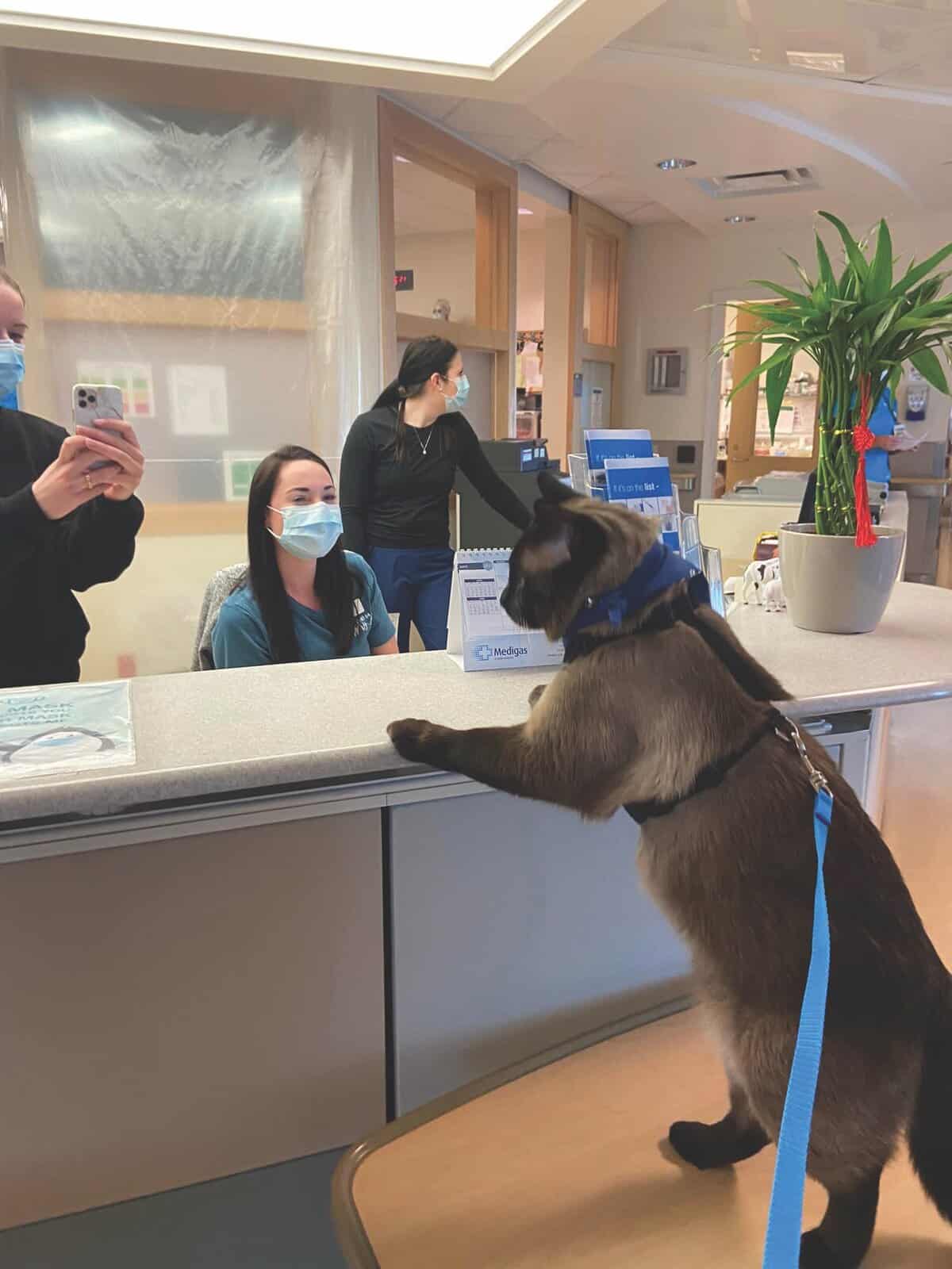 Furry Friends - Alberta Cancer Foundation